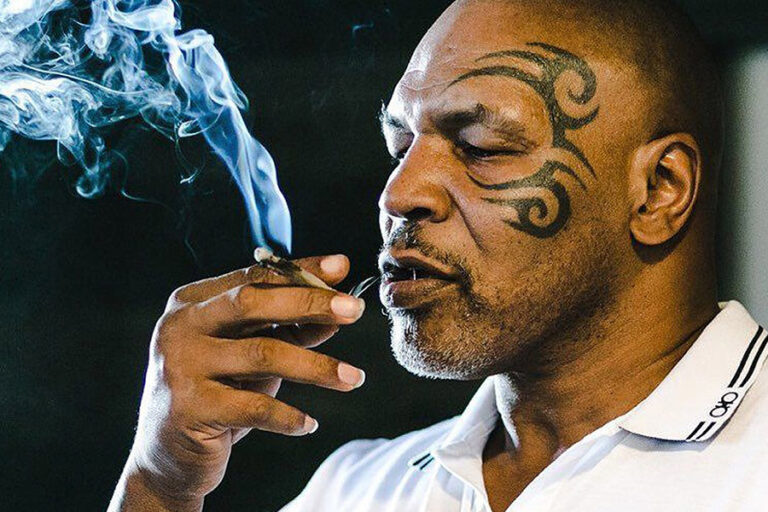 Weed Boxing Championship is coming back! | Asian MMA